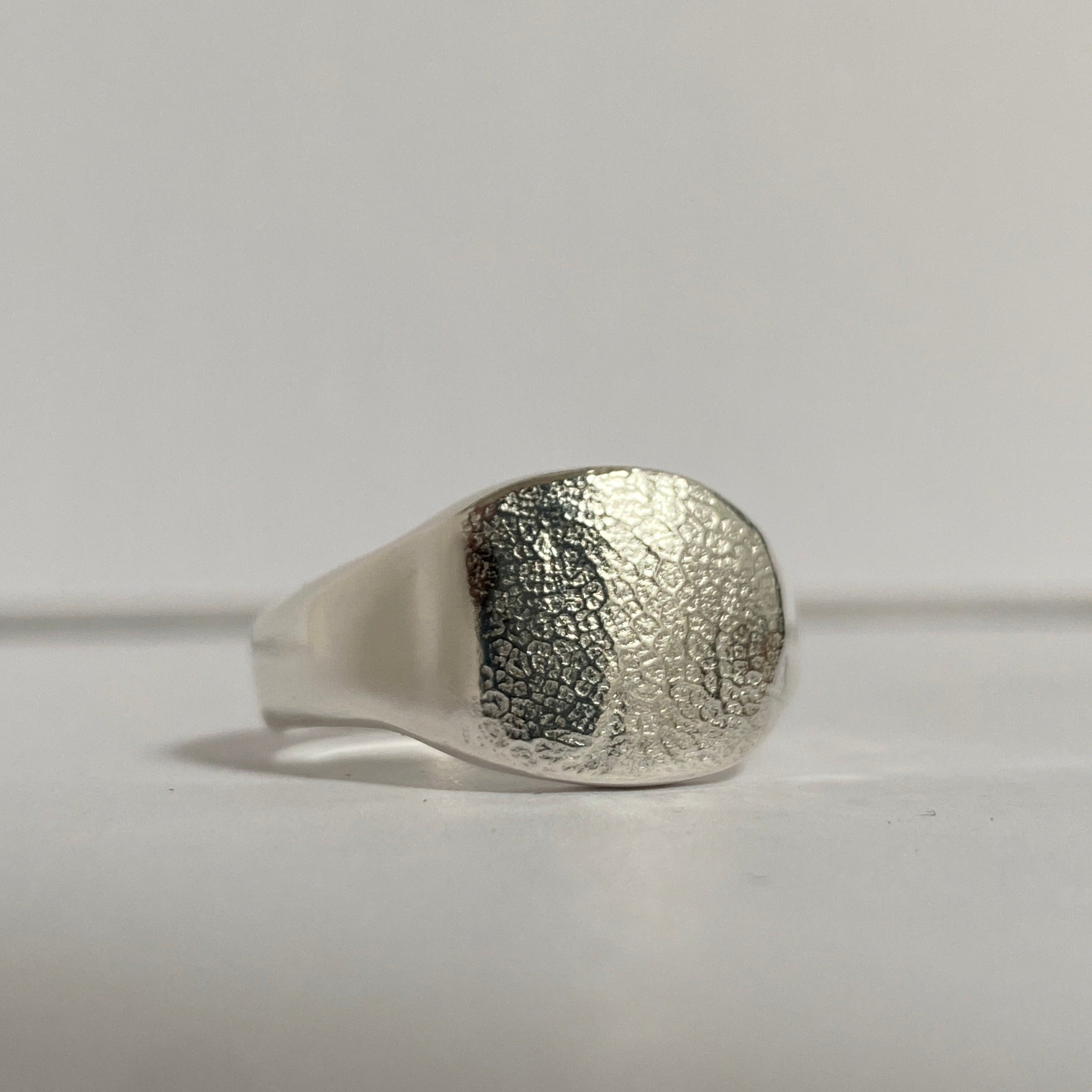 Dog nose print signet ring – Blackbird + Bones